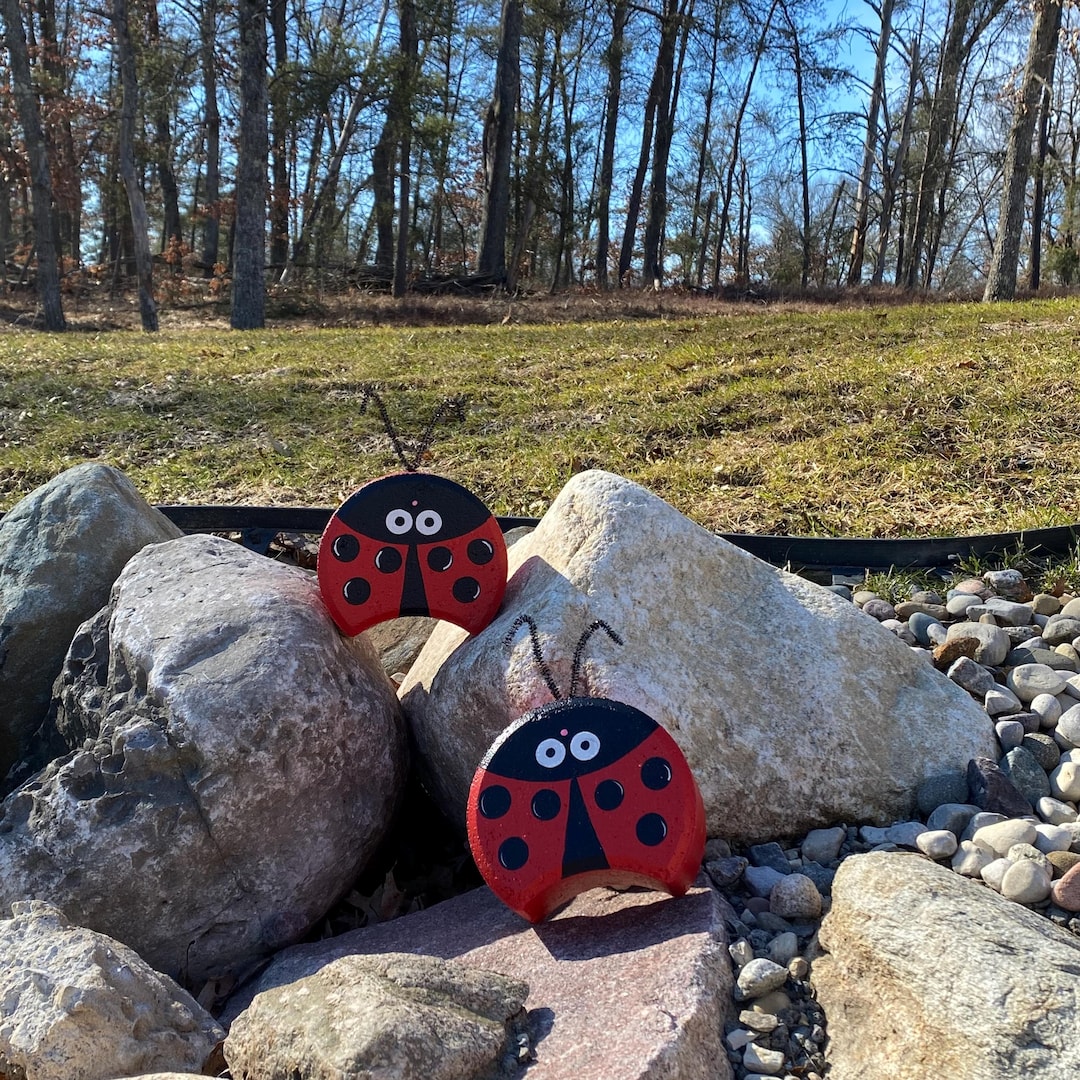 Ladybug Painted Pavers Outdoor Yard Art Decorations, Stone Pavers - Etsy