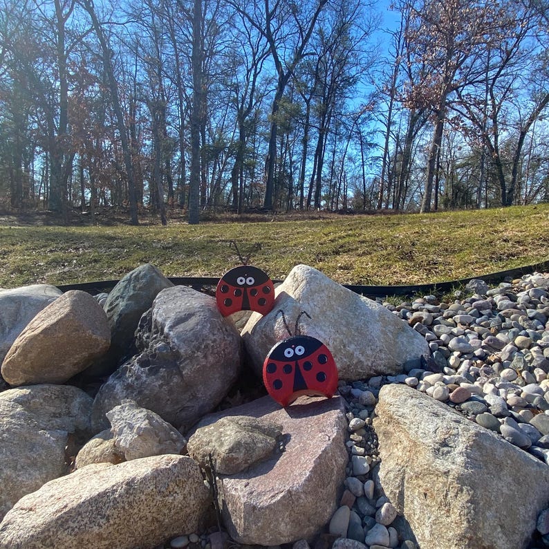 Ladybug Painted Pavers Outdoor Yard Art Decorations, Stone Pavers - Etsy