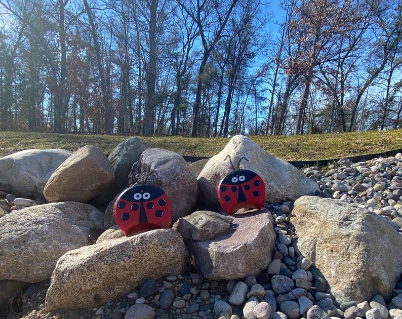 Ladybug Painted Pavers Outdoor Yard Art Decorations, Stone Pavers - Etsy