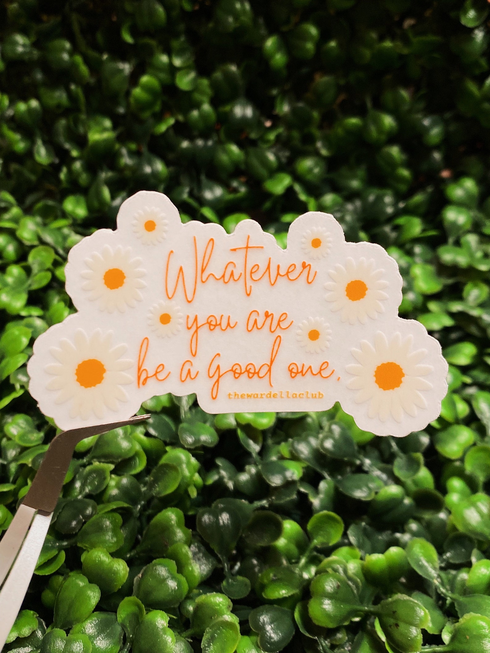 Aesthetic Clear Sticker | Decal | Aesthetic | Sticker | Bottle | TWEC ...