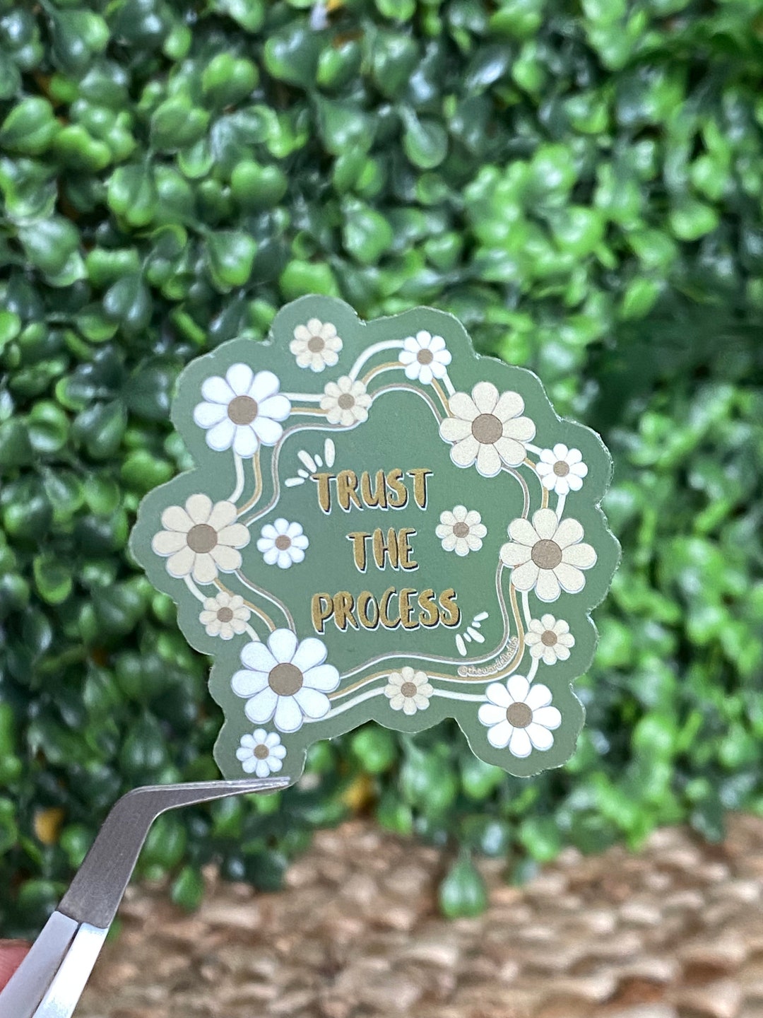 Aesthetic Clear Sticker | Decal | Aesthetic | Sticker | Bottle | TWEC ...