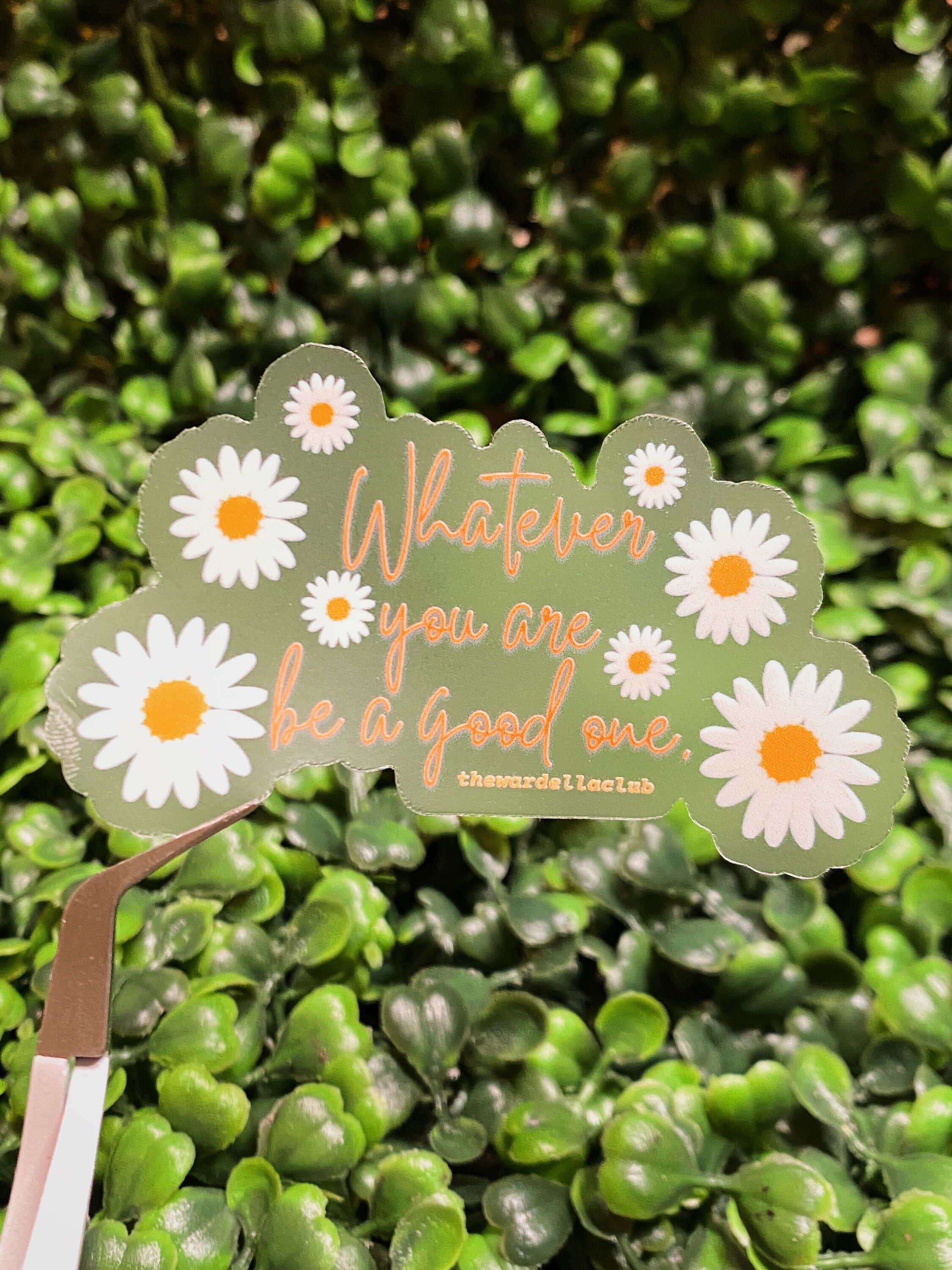 Aesthetic Clear Sticker | Decal | Aesthetic | Sticker | Bottle | TWEC ...