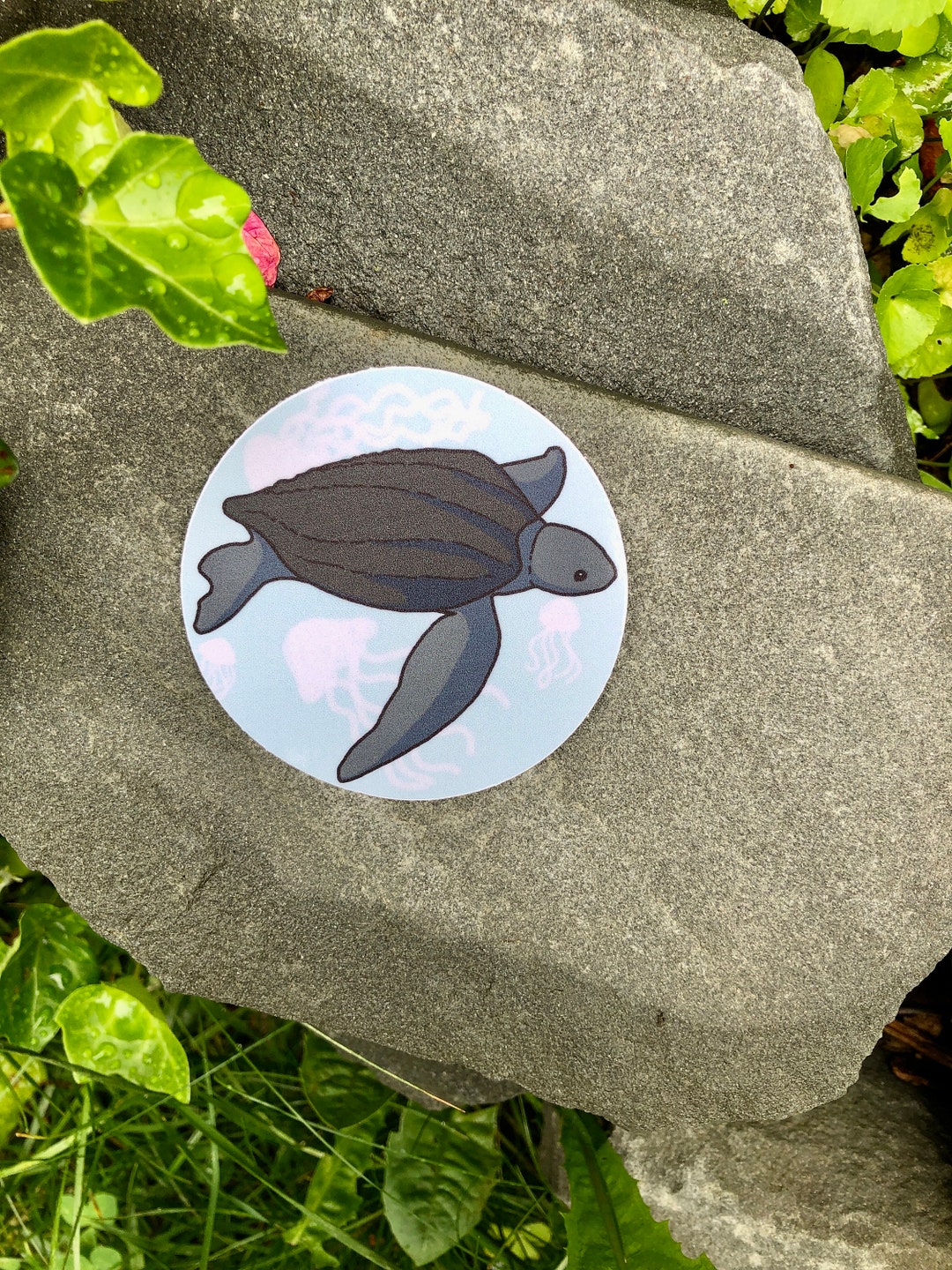 Leatherback Sea Turtle Realistic Sticker Round Vinyl Sticker - Blue ...