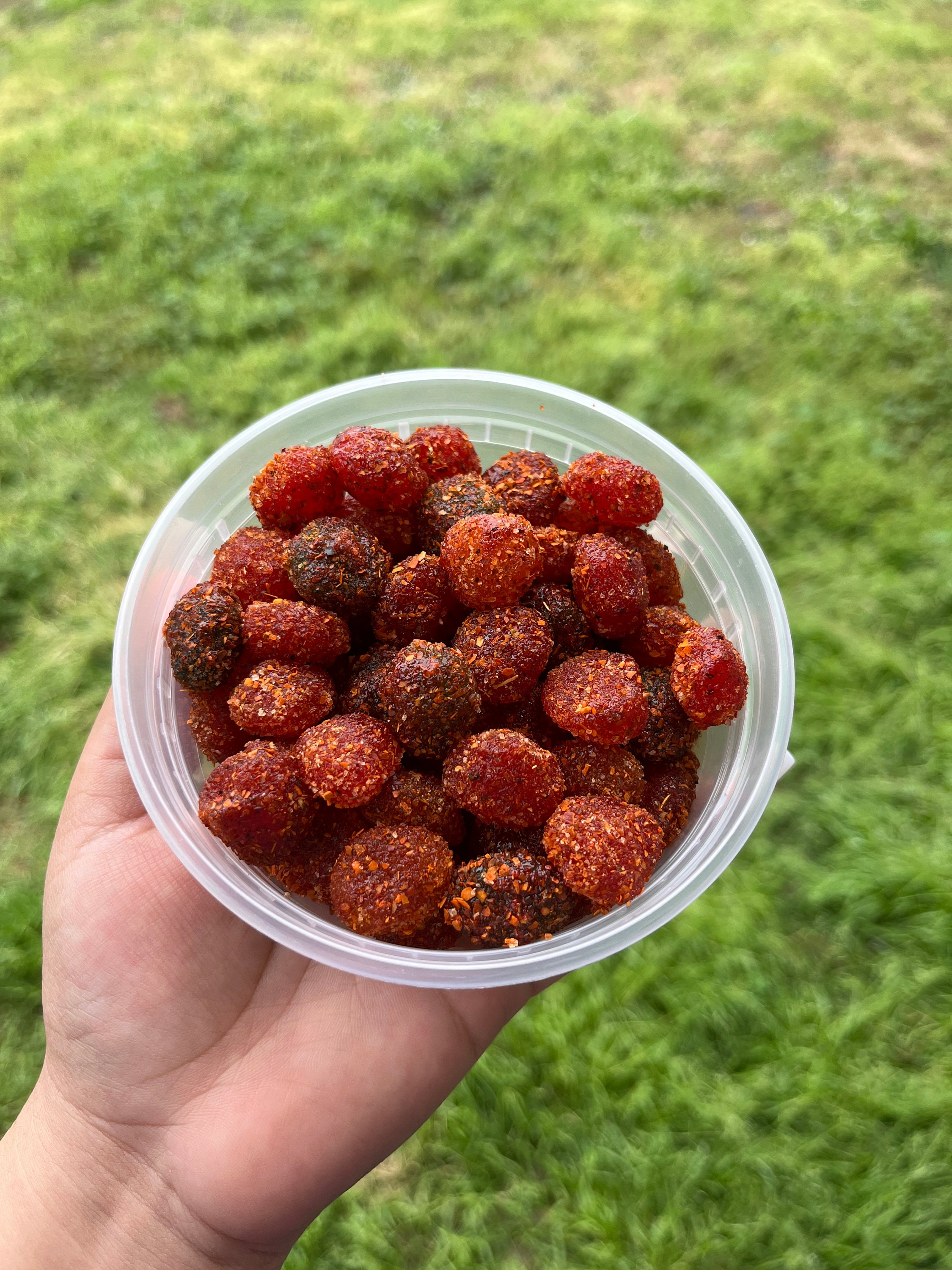 Dulce Enchilados / Mexican Candy / Chamoy and Tajin Candy / - Etsy