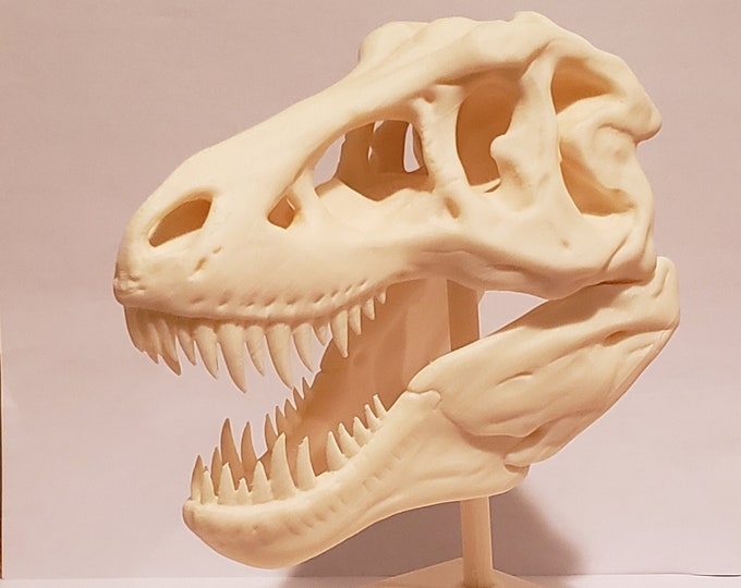 3D Printed T-rex Skull - Etsy