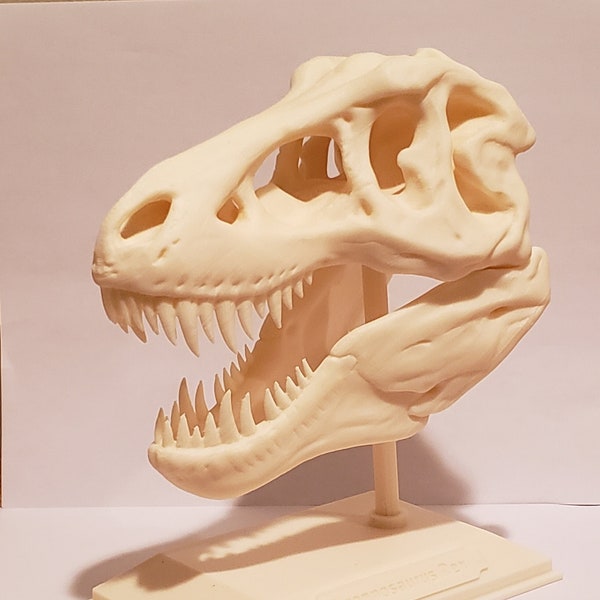 T Rex Skull 3d Print - Etsy
