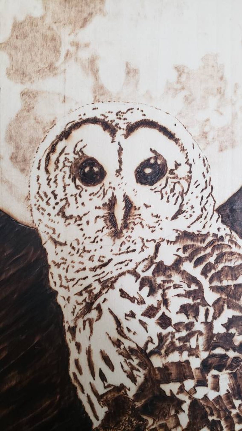 Owl & Rabbit Pyrography Wood Burn on Live Edge Basswood - Etsy