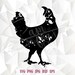 Chicken Svg Chicken Png Farm Animal Svg Cute Chicken Svg Chicken ...