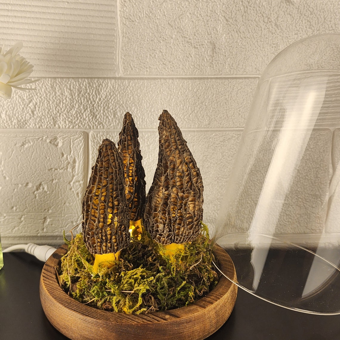 Handmade Morel Mushroom Lamp Wild Mushroom Lamp in a Glass - Etsy