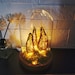 Handmade Morel Mushroom Lamp Wild Mushroom Lamp in a Glass Container ...