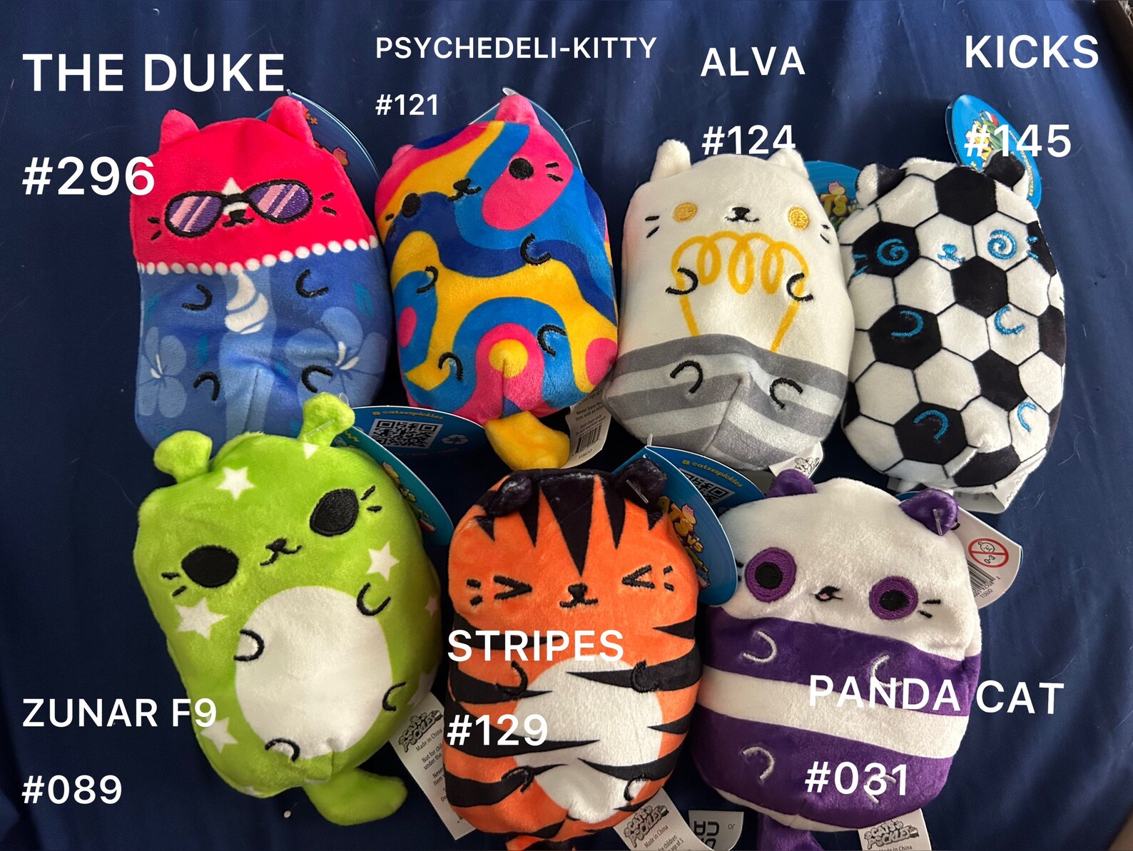 Cats Vs Pickles - Etsy