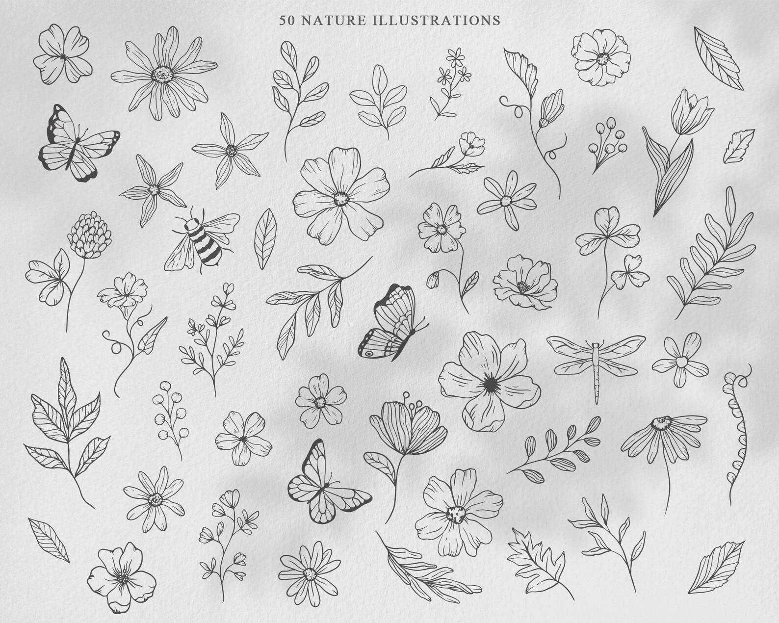 Flower Line Art Clipart Set With Leaves SVG Hand Drawn Floral - Etsy ...