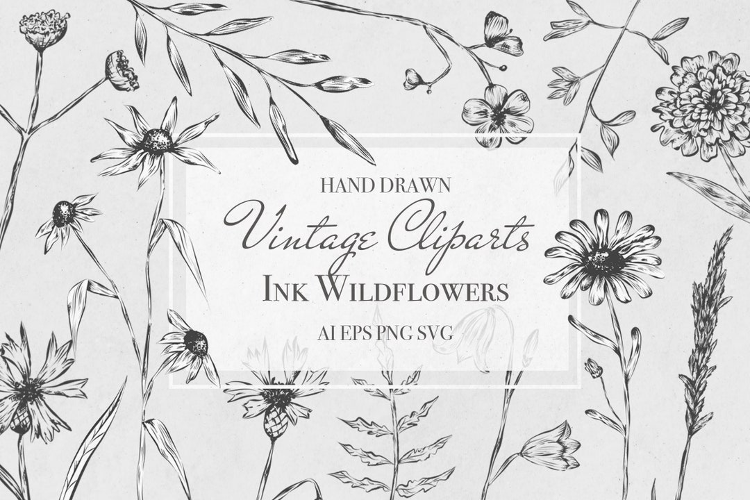 Ink Wildflowers Lineart Clipart Vector Graphics Set Meadow - Etsy