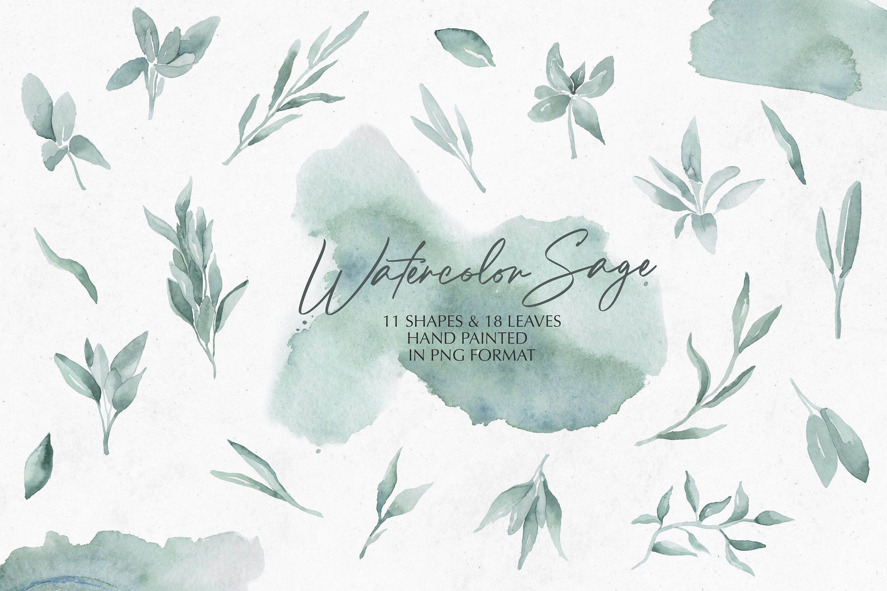 Watercolor Sage Leaves and Shapes Cliparts, Greenery Splashes Clip Art ...