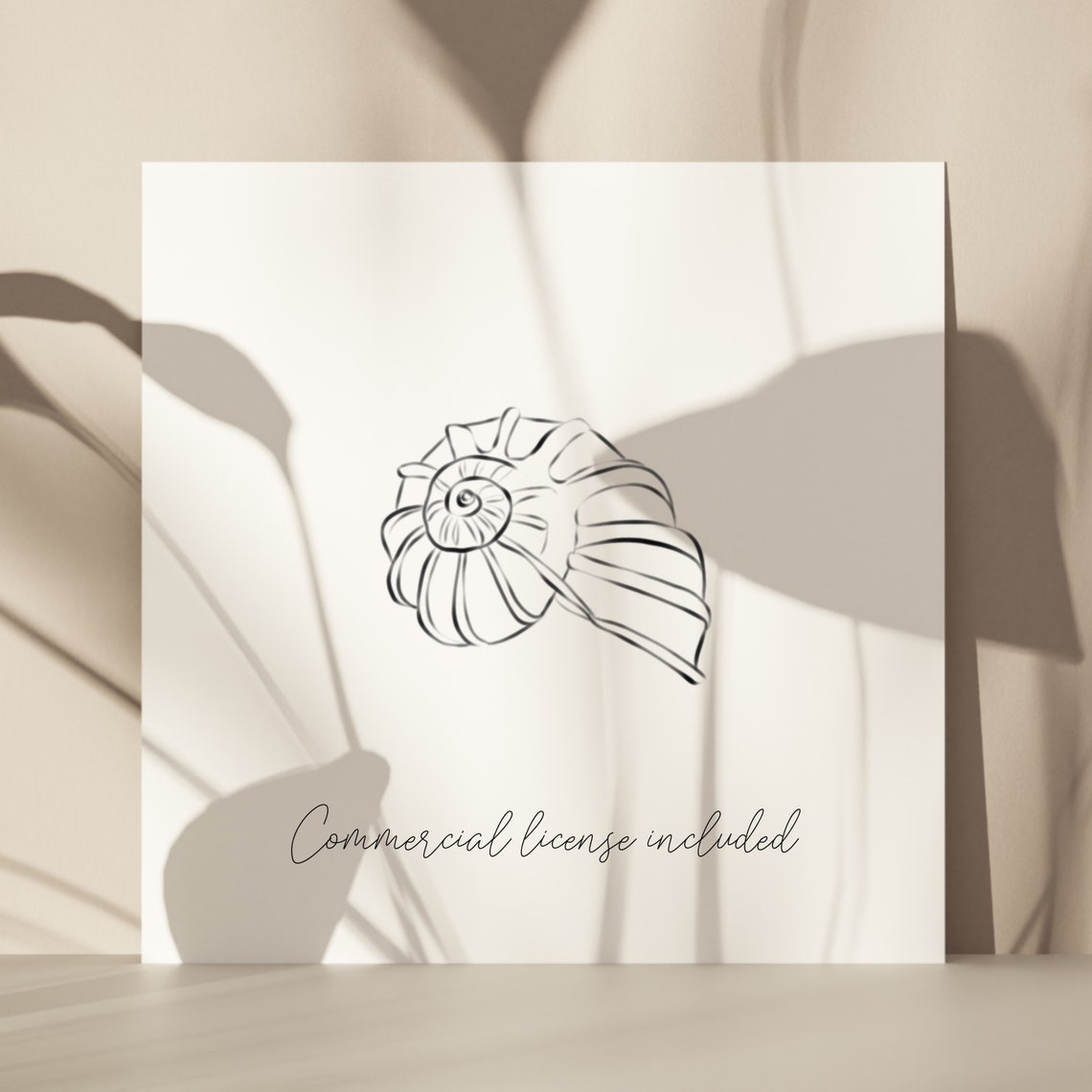 Shell Illustrations | Shell PNG | Sea Life Images | Line Art Clipart ...