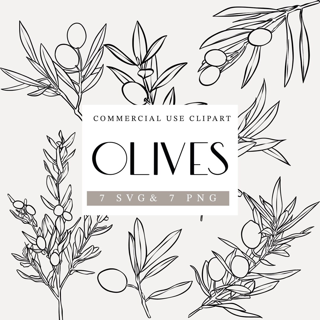 Olive Line Clipart PNG / SVG, Line Art Leaves, Greenery Bundle Clipart ...