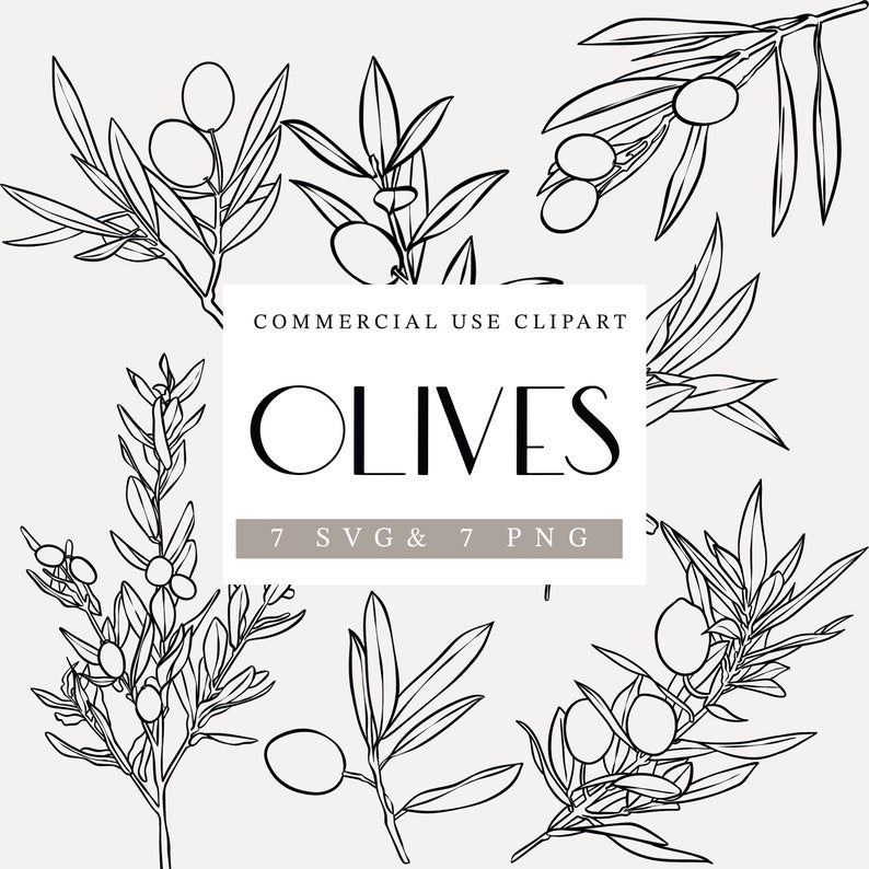 Olive Line Clipart PNG / SVG, Line Art Leaves, Greenery Bundle Clipart ...