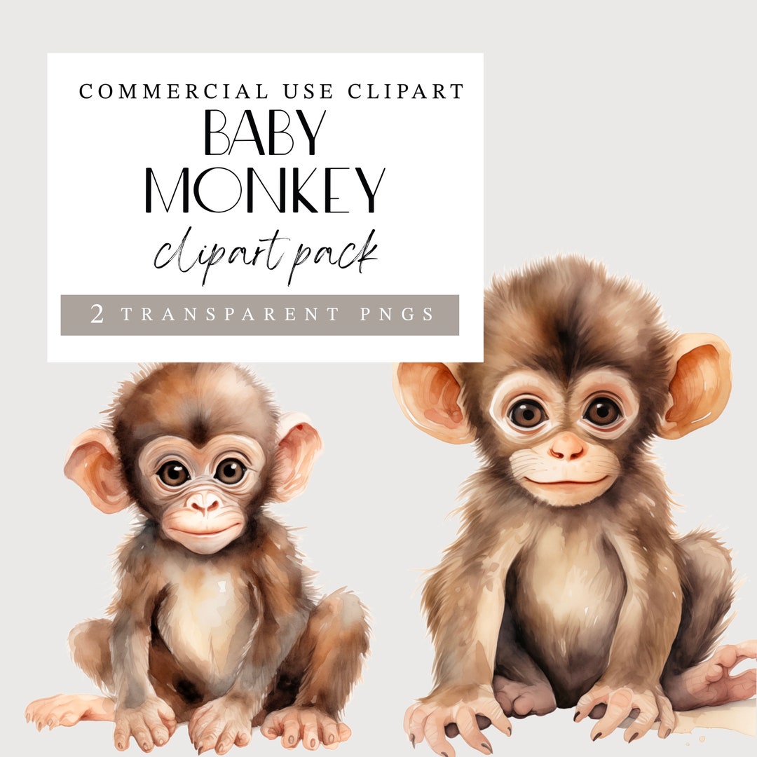 Watercolor Baby Monkey, Baby Monkey PNG, Transparent PNG, Safari ...