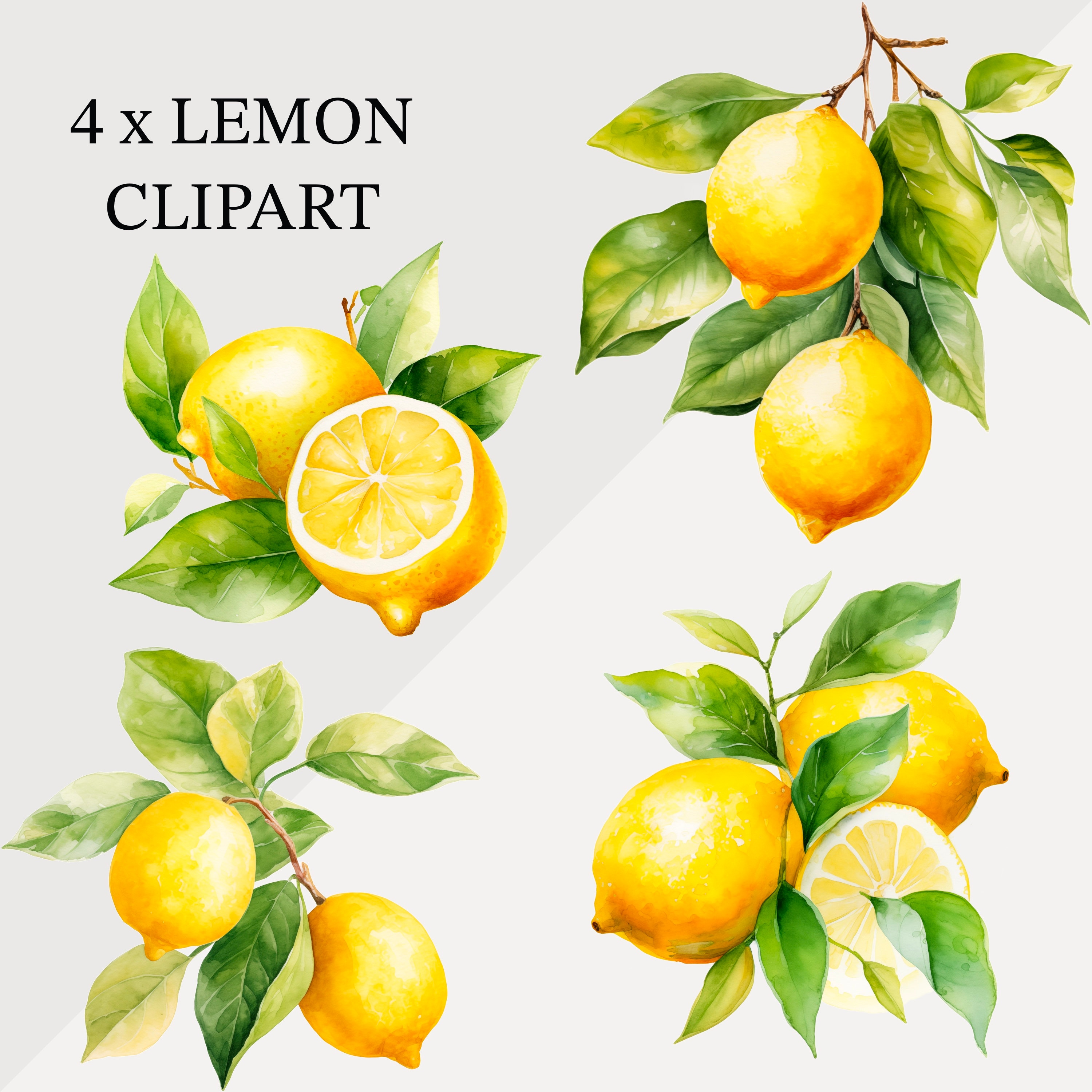 Watercolor Lemon Png, Fruit Clipart, Transparent PNG, Png Clipart, 300 ...