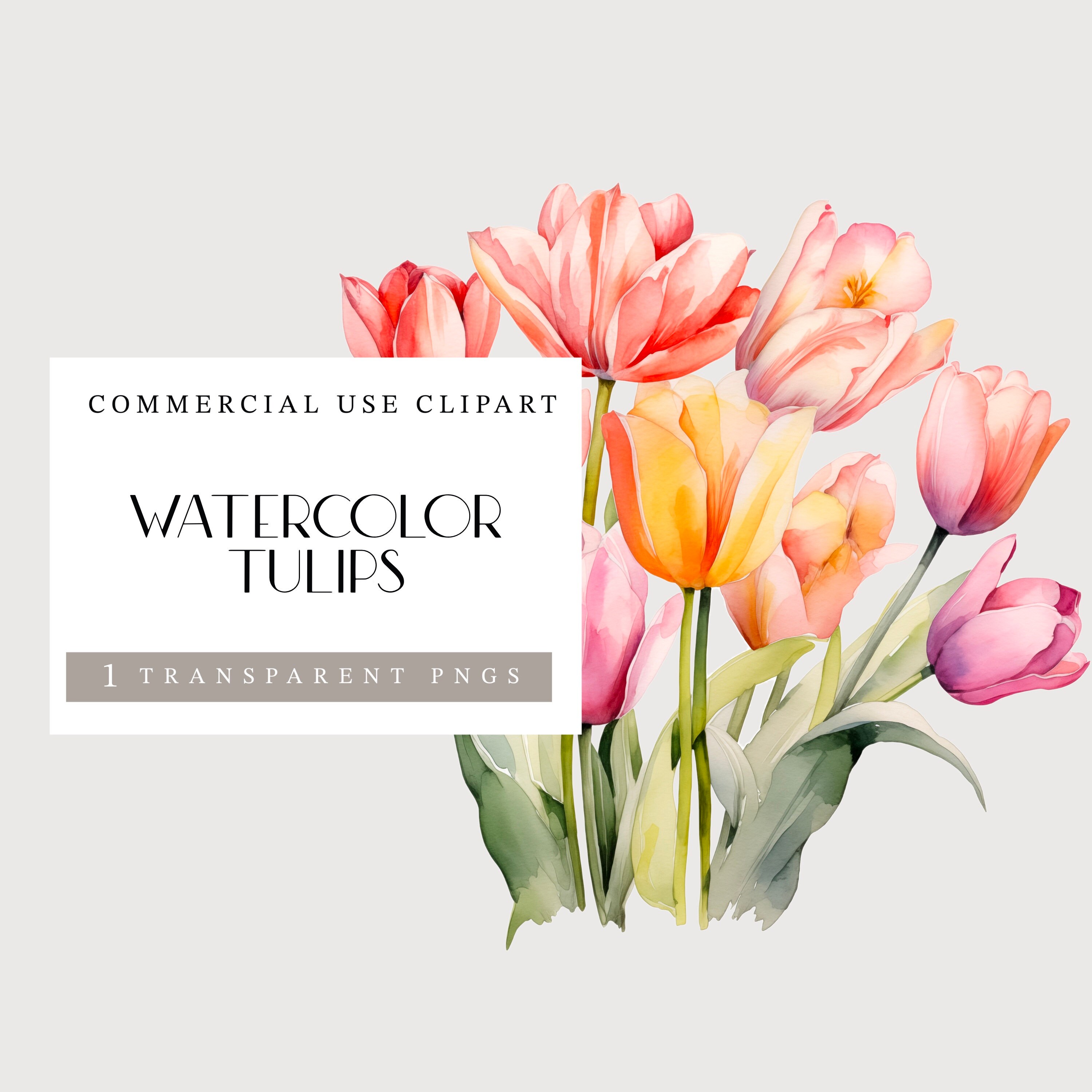 Watercolor Tulips Png, Flowers Clipart, Transparent PNG, Png Clipart ...
