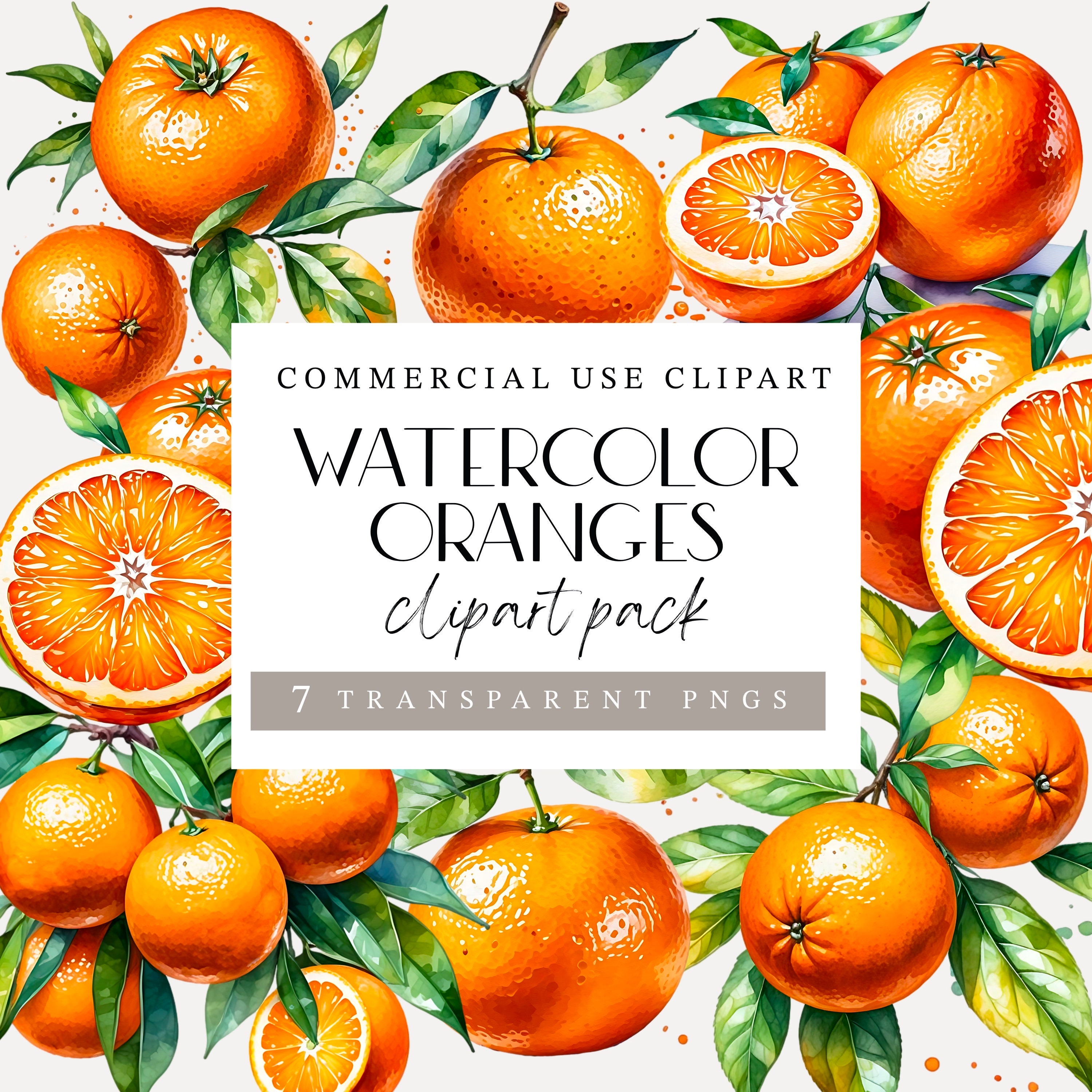 Watercolor Oranges Png, Fruit Clipart, Transparent PNG, Png Clipart ...