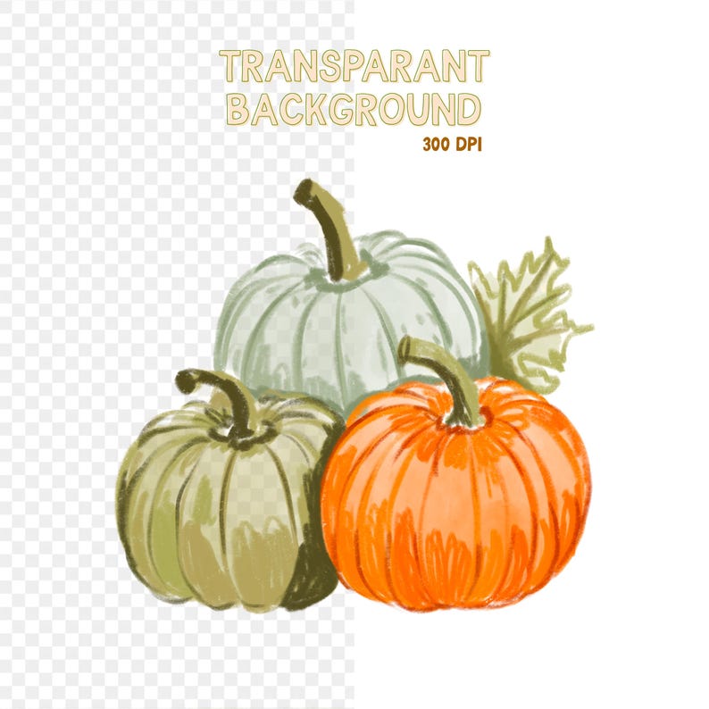Whimsical Watercolor Pumpkin Clipart, Autumn Illustrations (PNG) - Etsy