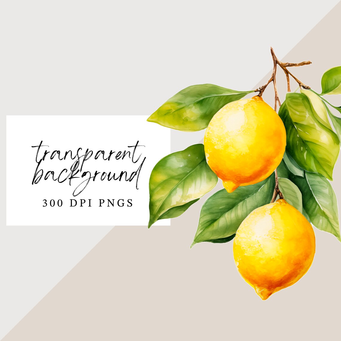 Watercolor Lemon Png, Fruit Clipart, Transparent PNG, Png Clipart, 300 ...