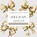 Watercolor Bow Clipart Set, Beige Bow Png, Transparent PNG, Png Clipart ...