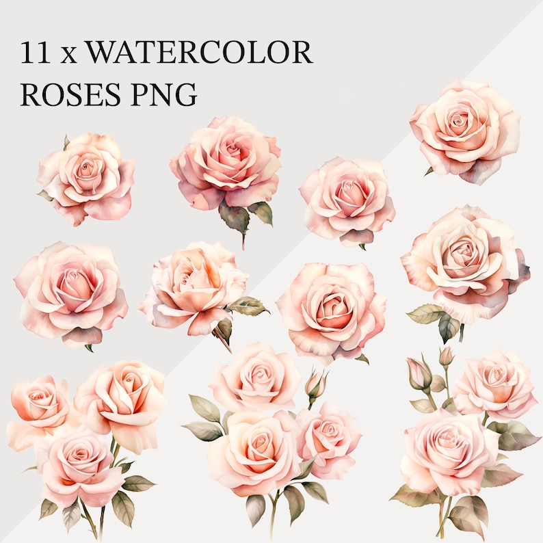 Watercolor Roses Png, Flowers Clipart, Transparent PNG, Png Clipart ...