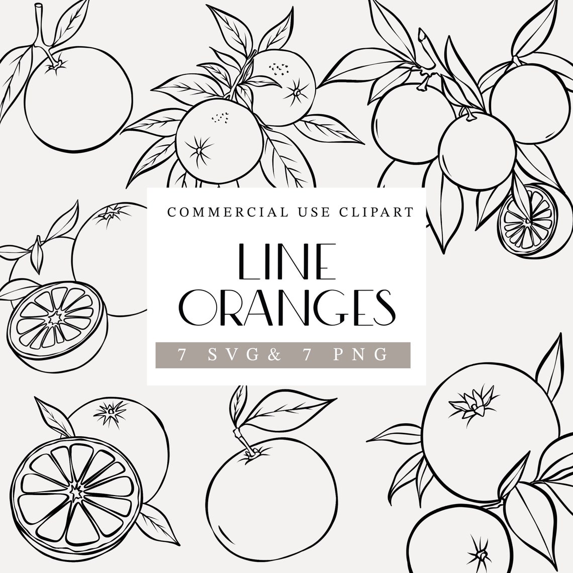 Oranges Clipart Illustrations, Orange PNG & SVG, Wedding Images, Line ...