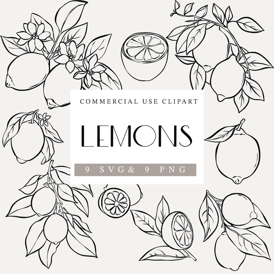 Lemon Line Art Clipart, Commercial License (PNG & SVG) - Etsy