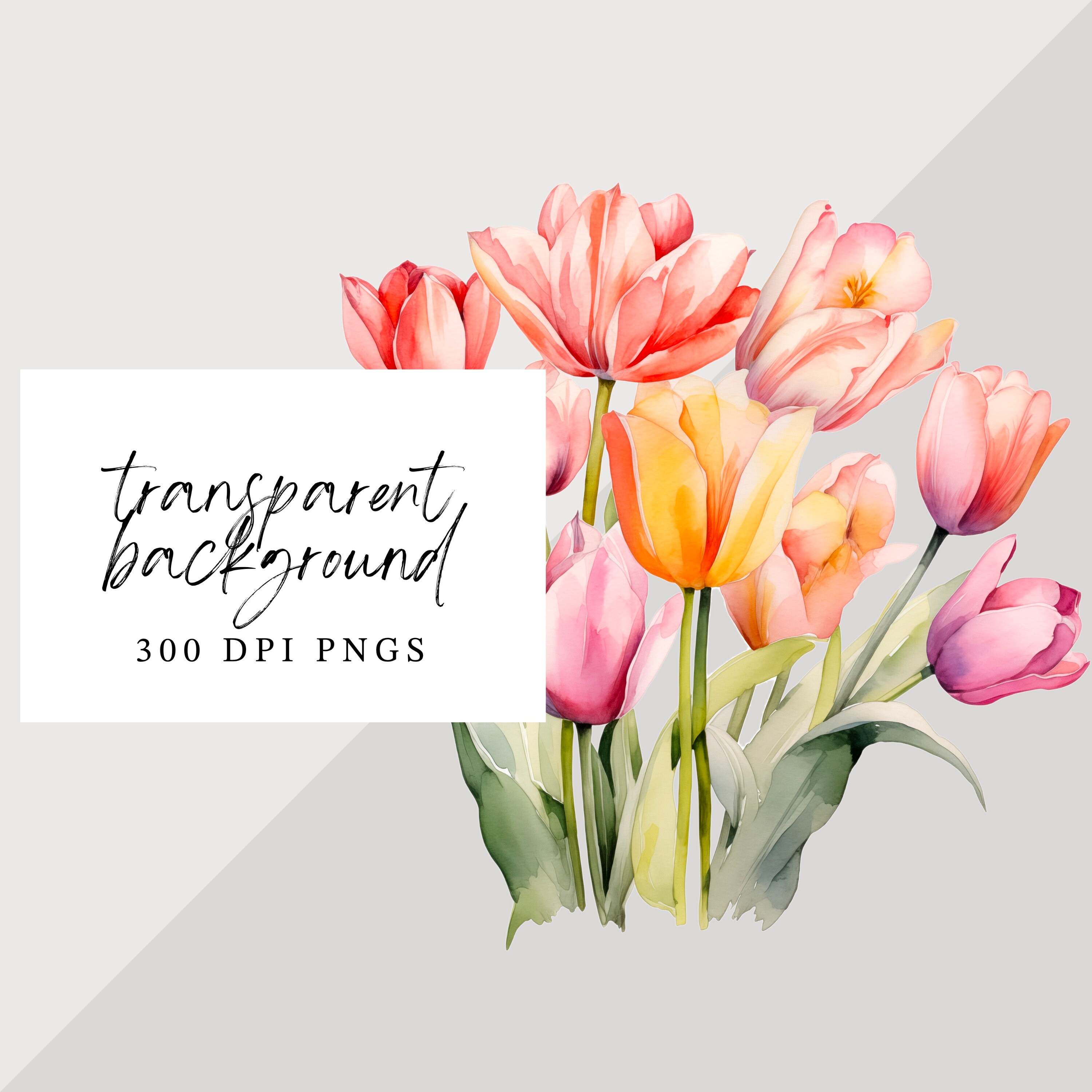 Watercolor Tulips Png, Flowers Clipart, Transparent PNG, Png Clipart ...