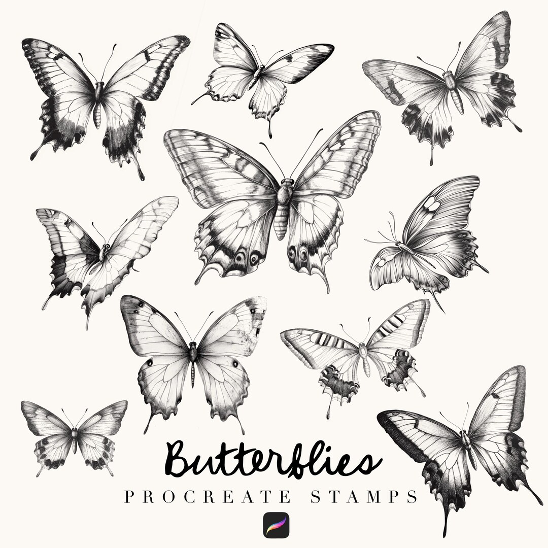 Butterfly Procreate Stamp Brushes, Line Art, Stamp for Invitations ...