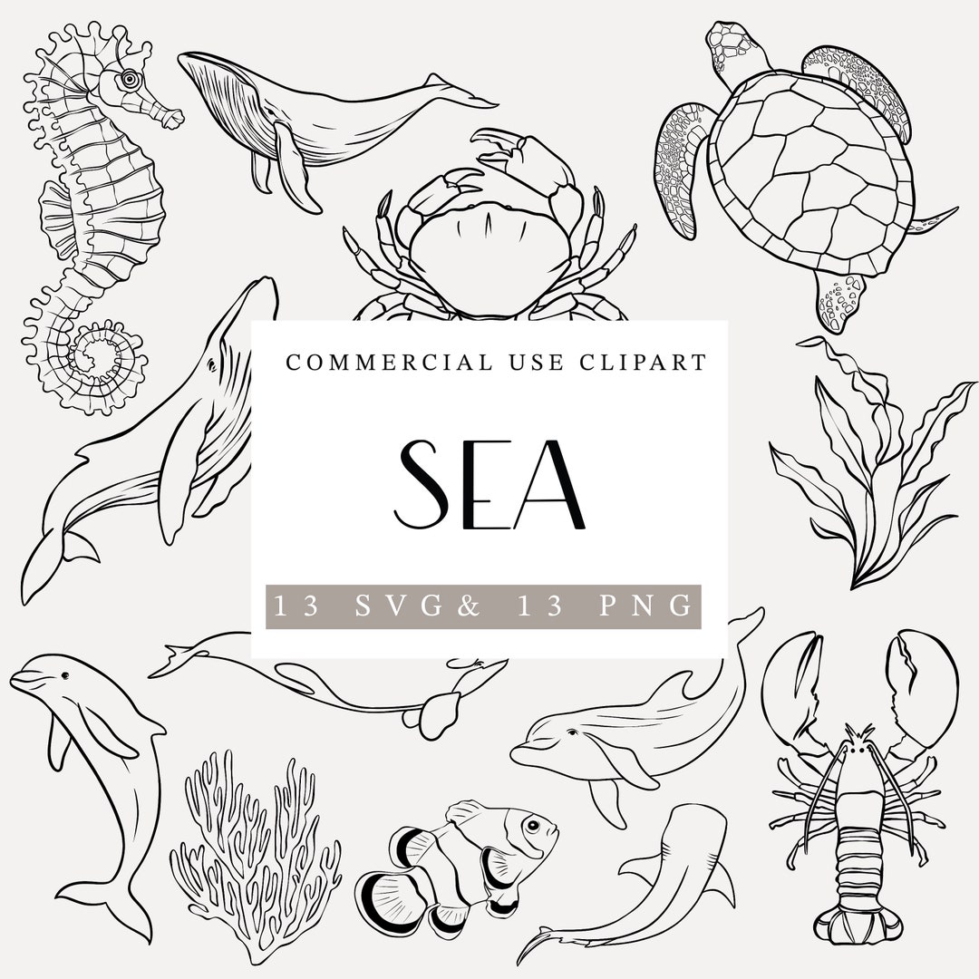 Sea Animal Line Art Clipart, Ocean SVG PNG (commercial License) - Etsy