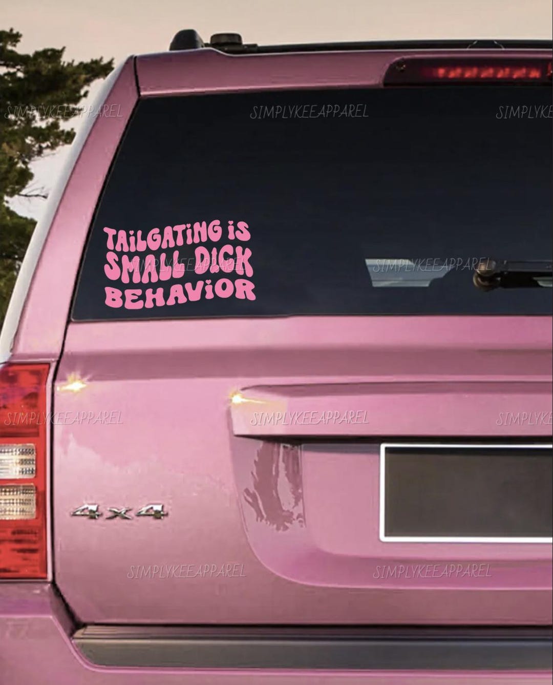 Tailgating is Small D*ck Behavior, Funny Bumper Sticker, Funny Car ...