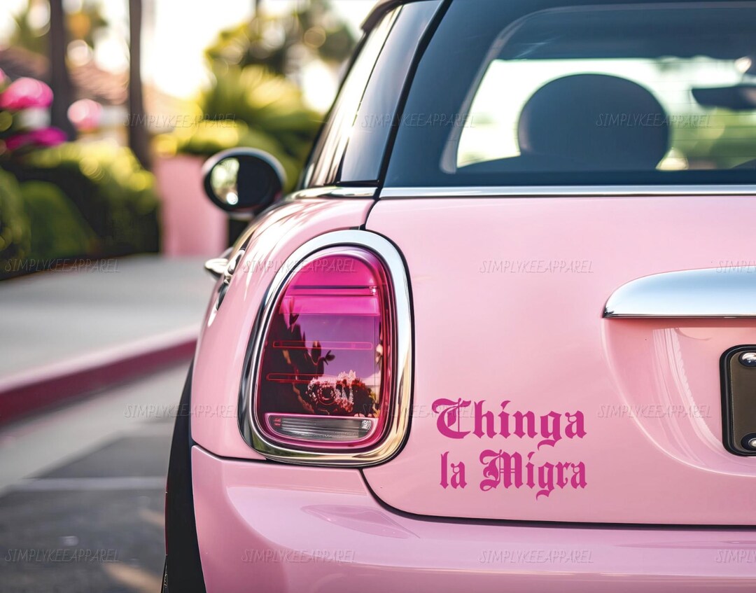 Chinga La Migra, Abolish Ice, Car Decals for Women, Funny Bumper ...