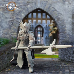 Kings Guard - by the Printing Goes Ever On - Etsy