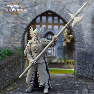 Kings Guard - by the Printing Goes Ever On - Etsy