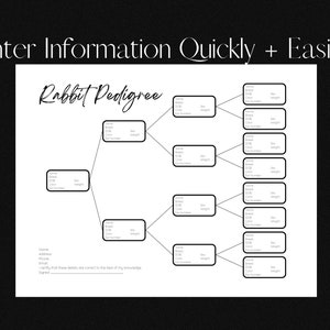 Editable Rabbitry Bundle Simple Template Birth Certificate - Etsy
