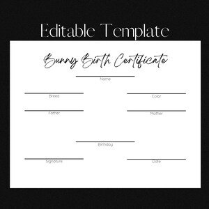 Editable Rabbitry Bundle Simple Template Birth Certificate - Etsy