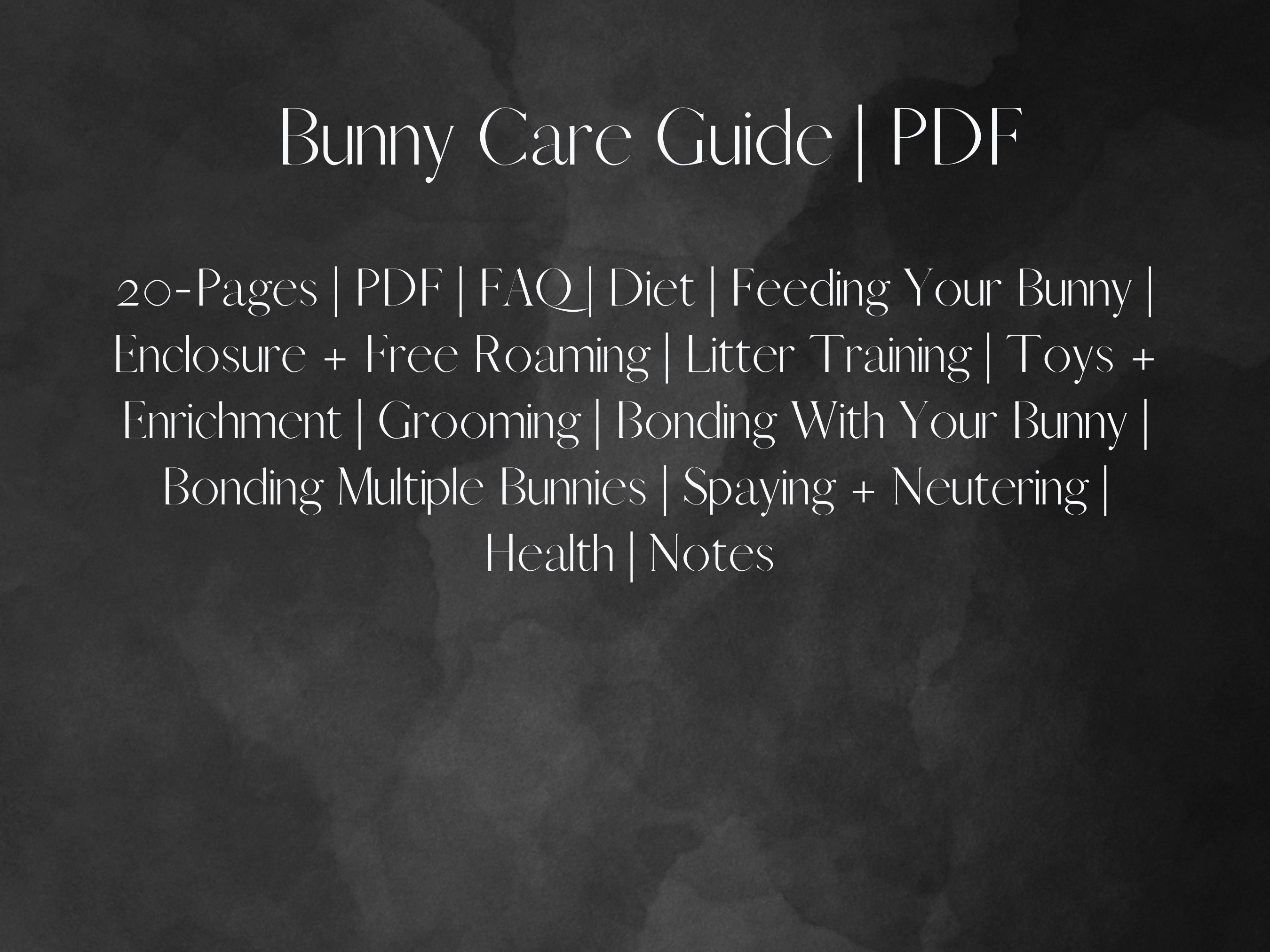 Editable Bunny Care Guide Rabbit Care Guide Digital Download 20 Pages ...