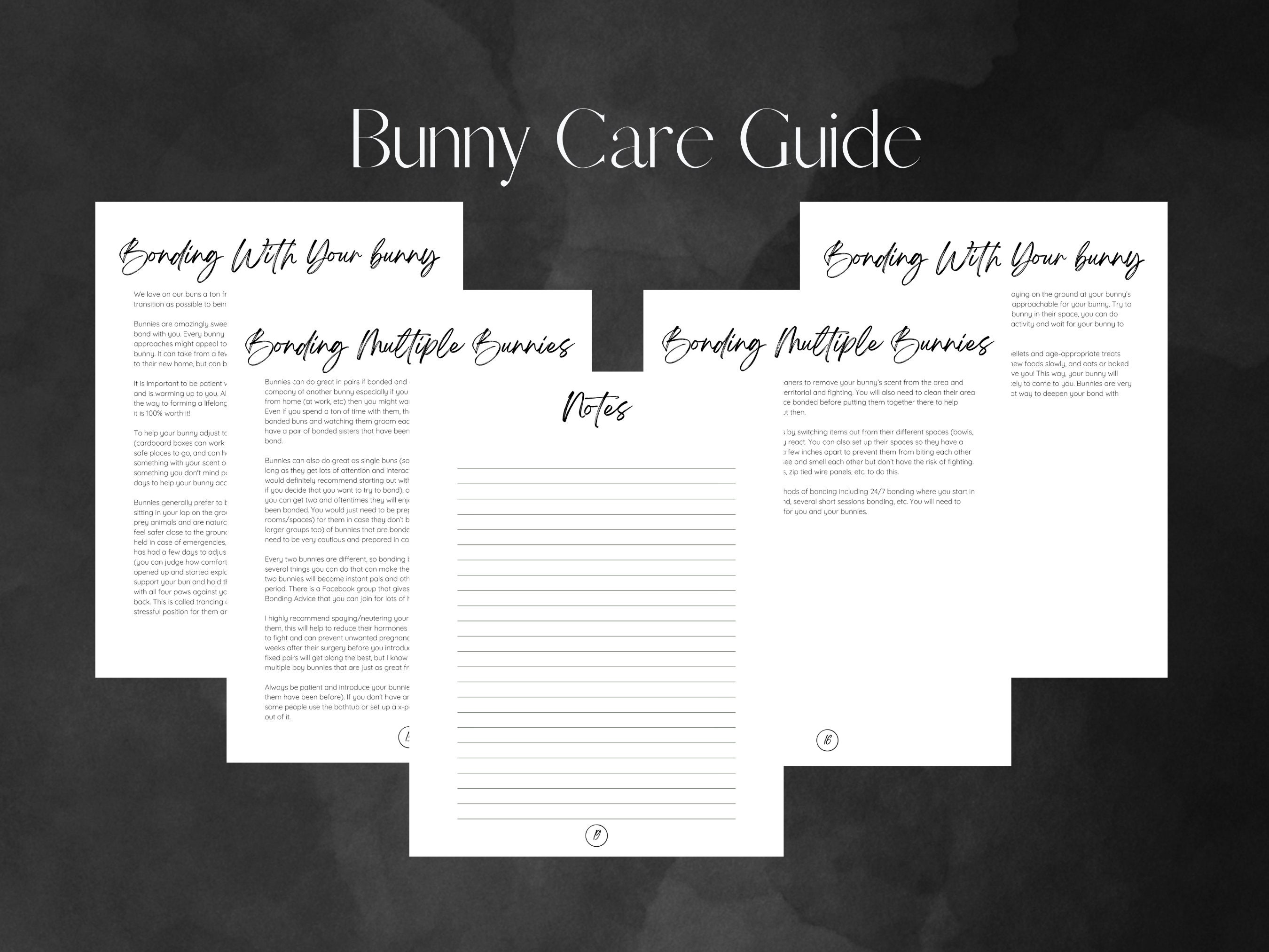 Editable Bunny Care Guide Rabbit Care Guide Digital Download 20 Pages ...