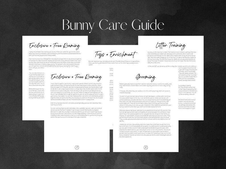 Editable Bunny Care Guide Rabbit Care Guide Digital Download 20 Pages ...