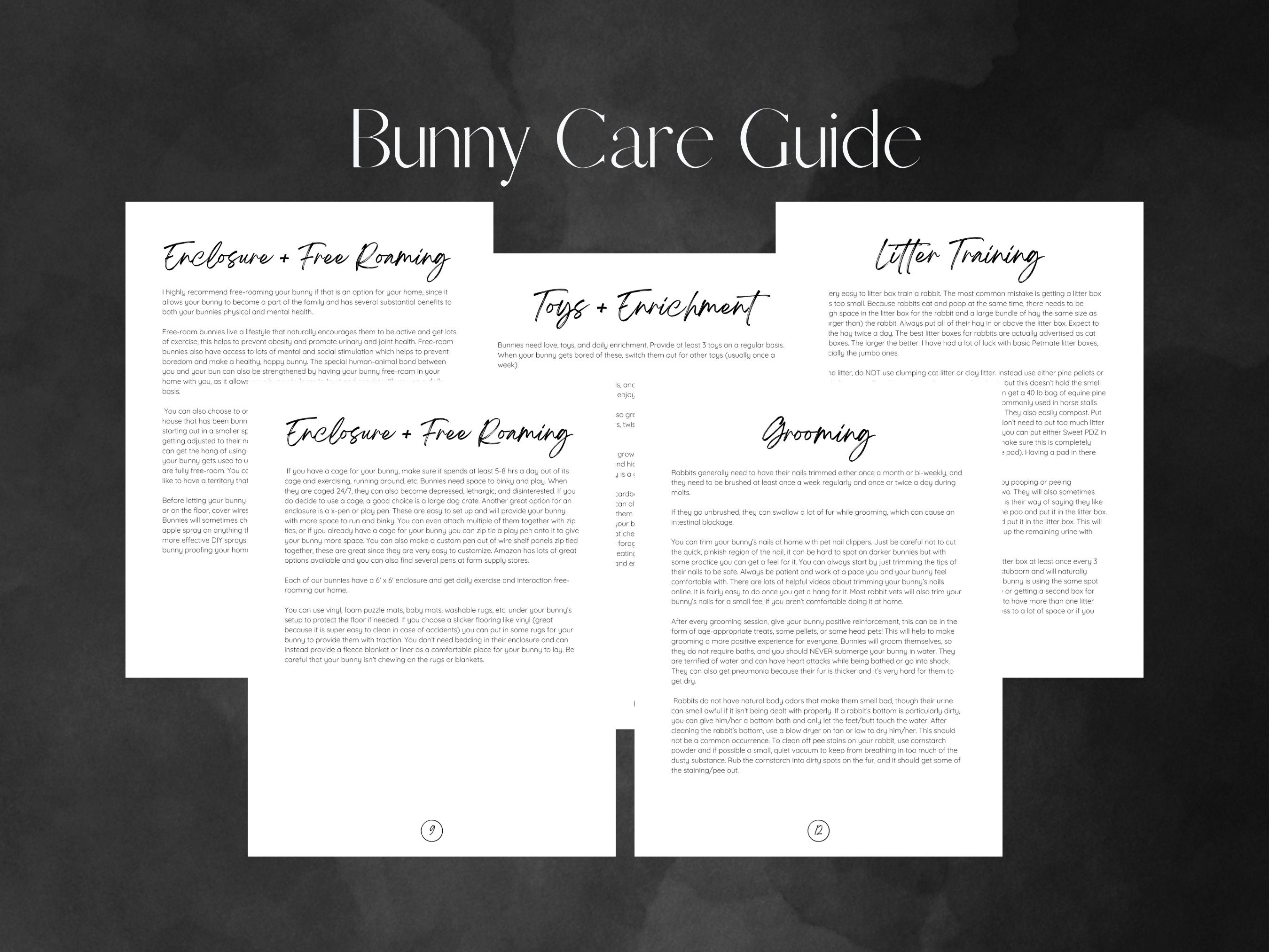 Editable Bunny Care Guide Rabbit Care Guide Digital Download 20 Pages ...