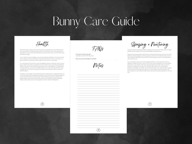 Editable Bunny Care Guide Rabbit Care Guide Digital Download 20 Pages ...