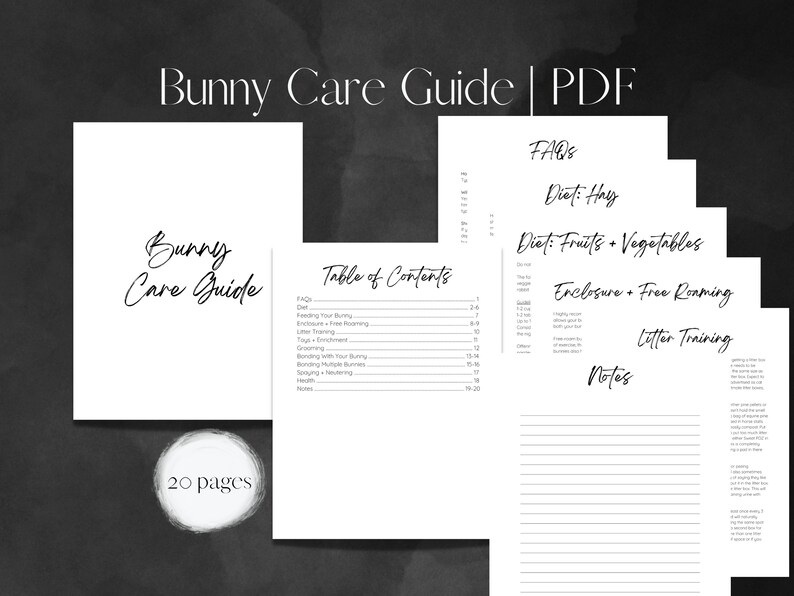 Editable Bunny Care Guide Rabbit Care Guide Digital Download 20 Pages ...