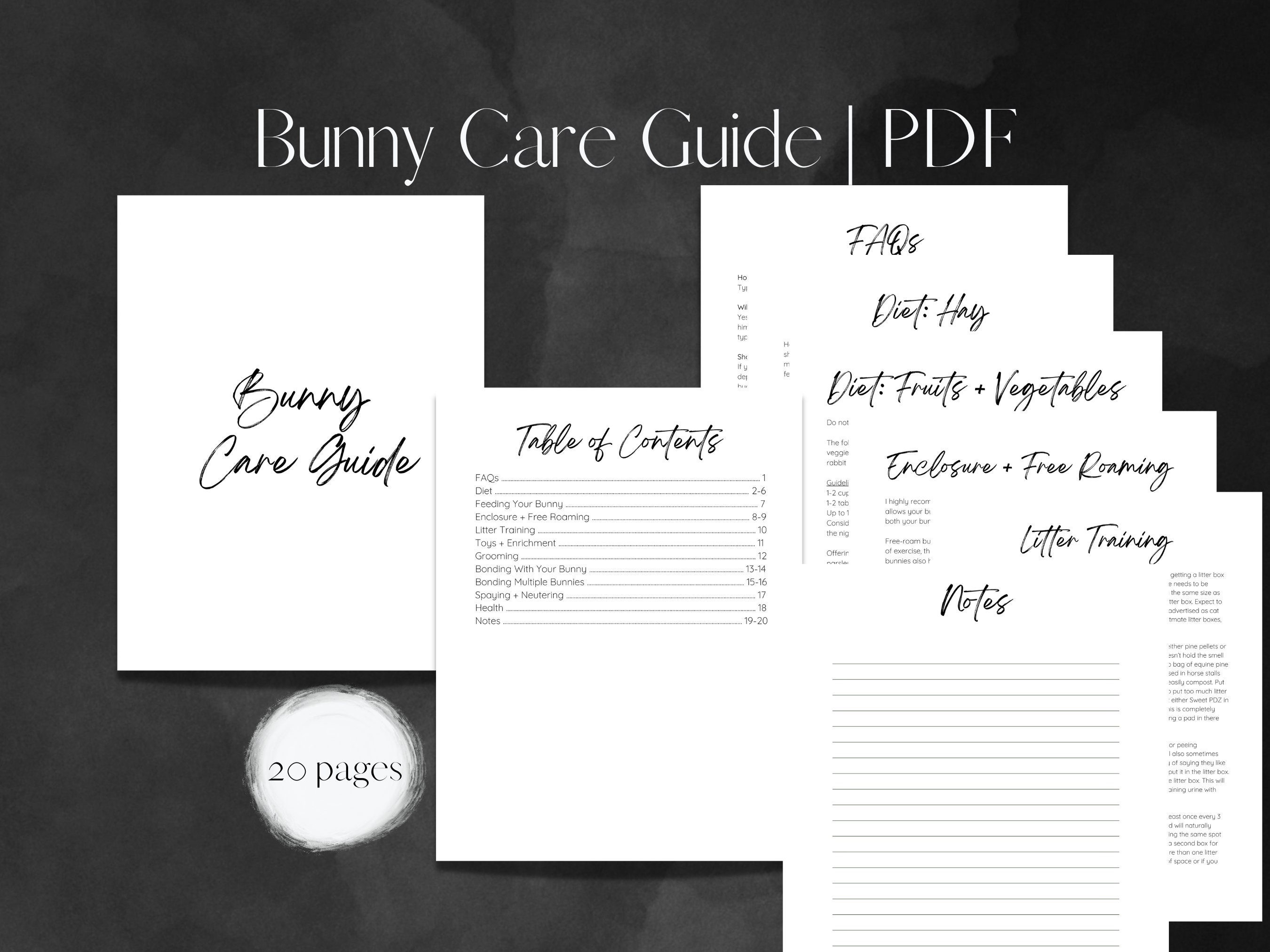 Editable Bunny Care Guide Rabbit Care Guide Digital Download 20 Pages ...