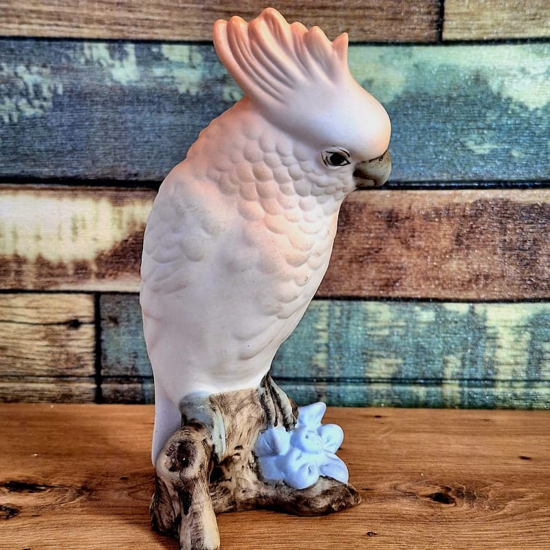 Hand Painted Parrot - Etsy