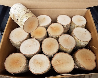 Birch Logs - Etsy