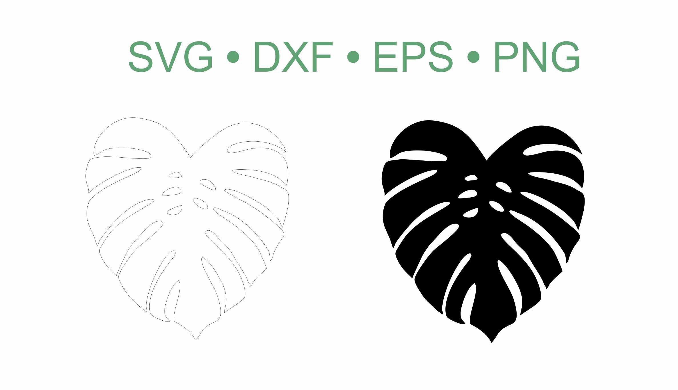 Monstera Leaf Digital Download Dxf Svg Png Eps - Etsy